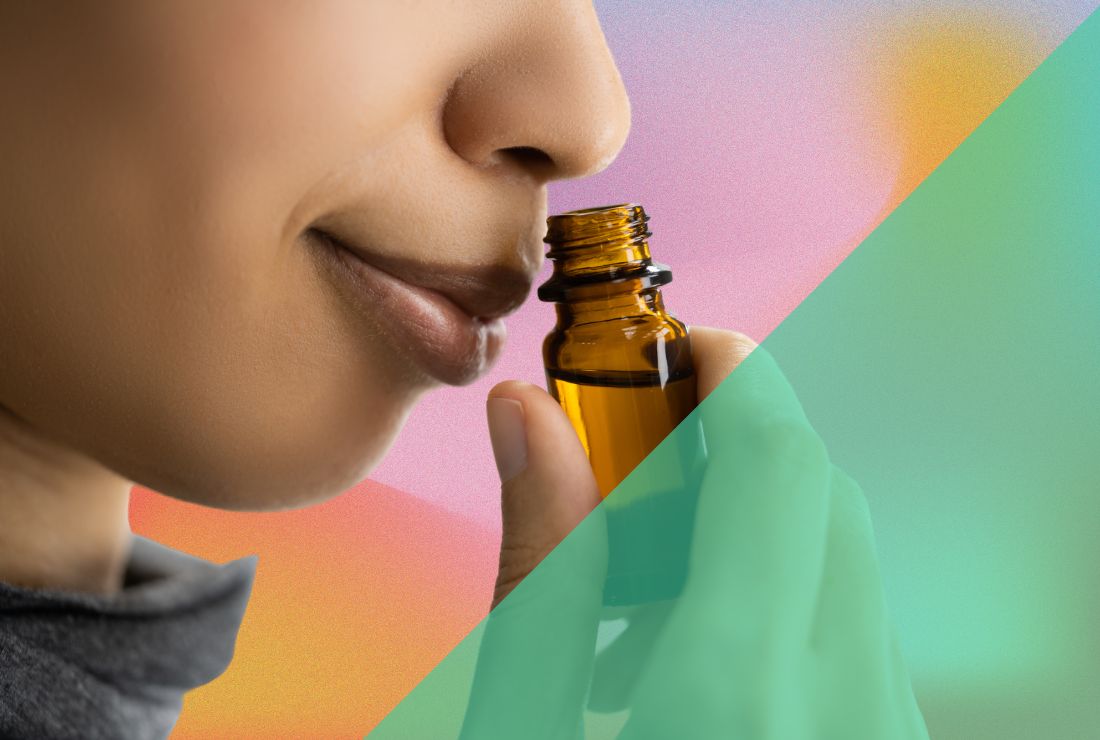 The XO2 Fragrance Guide